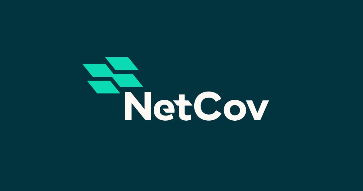 Managed IT Solutions Provider - Services by NetCov